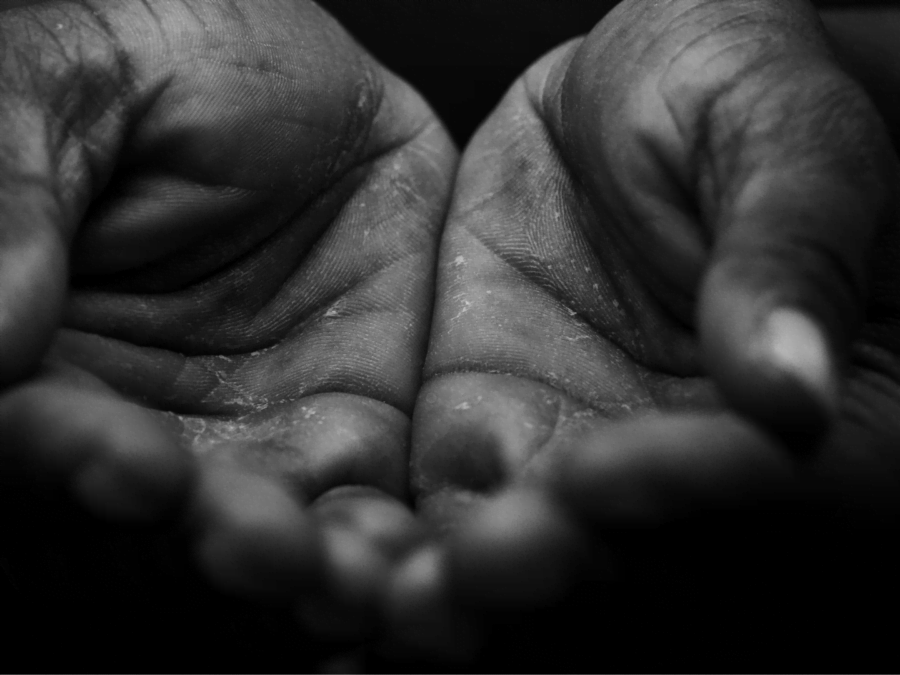 What does 'Nasibi' mean? - The Office Of His Eminence Sheikh al-Habib