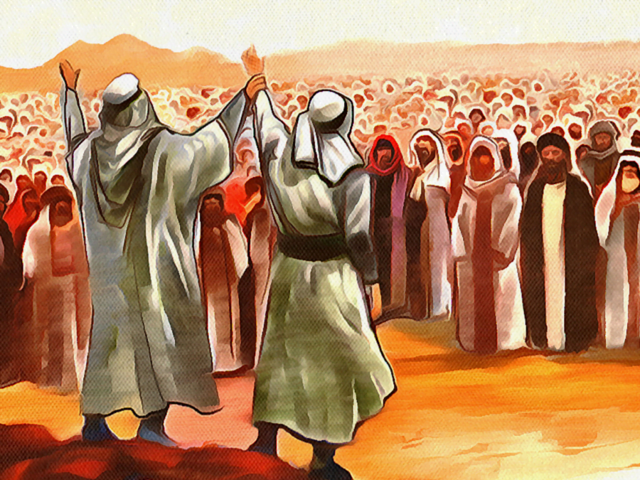 The Office Of His Eminence Sheikh al-Habib